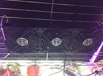 Amazon.com: Neukniy 3X 120mm Computer Fan with AC Plug, AC 110V 120V ...