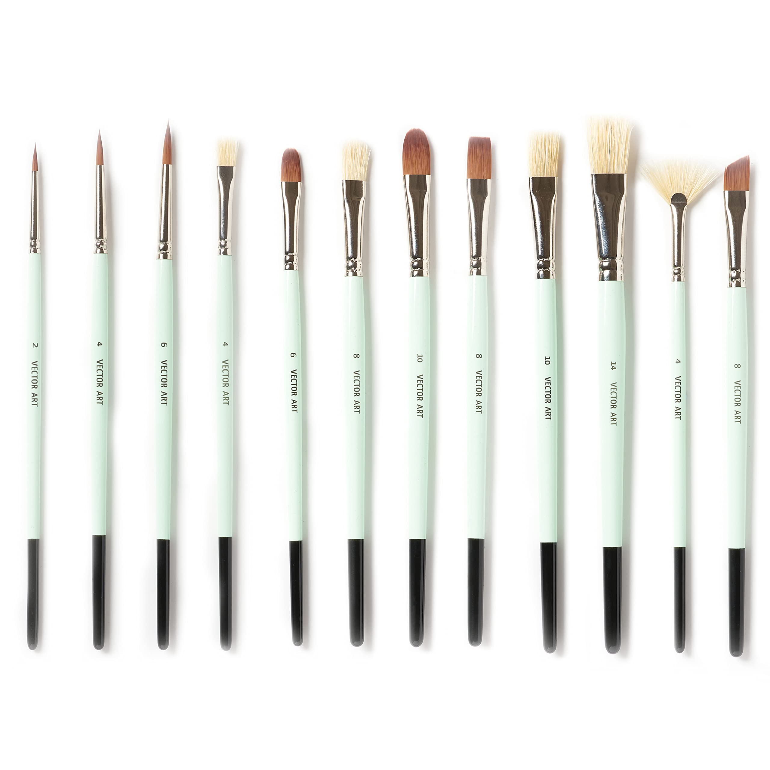 12 pcs Professional Paint Brush Set, Natural Hog Hair and Nylon ...