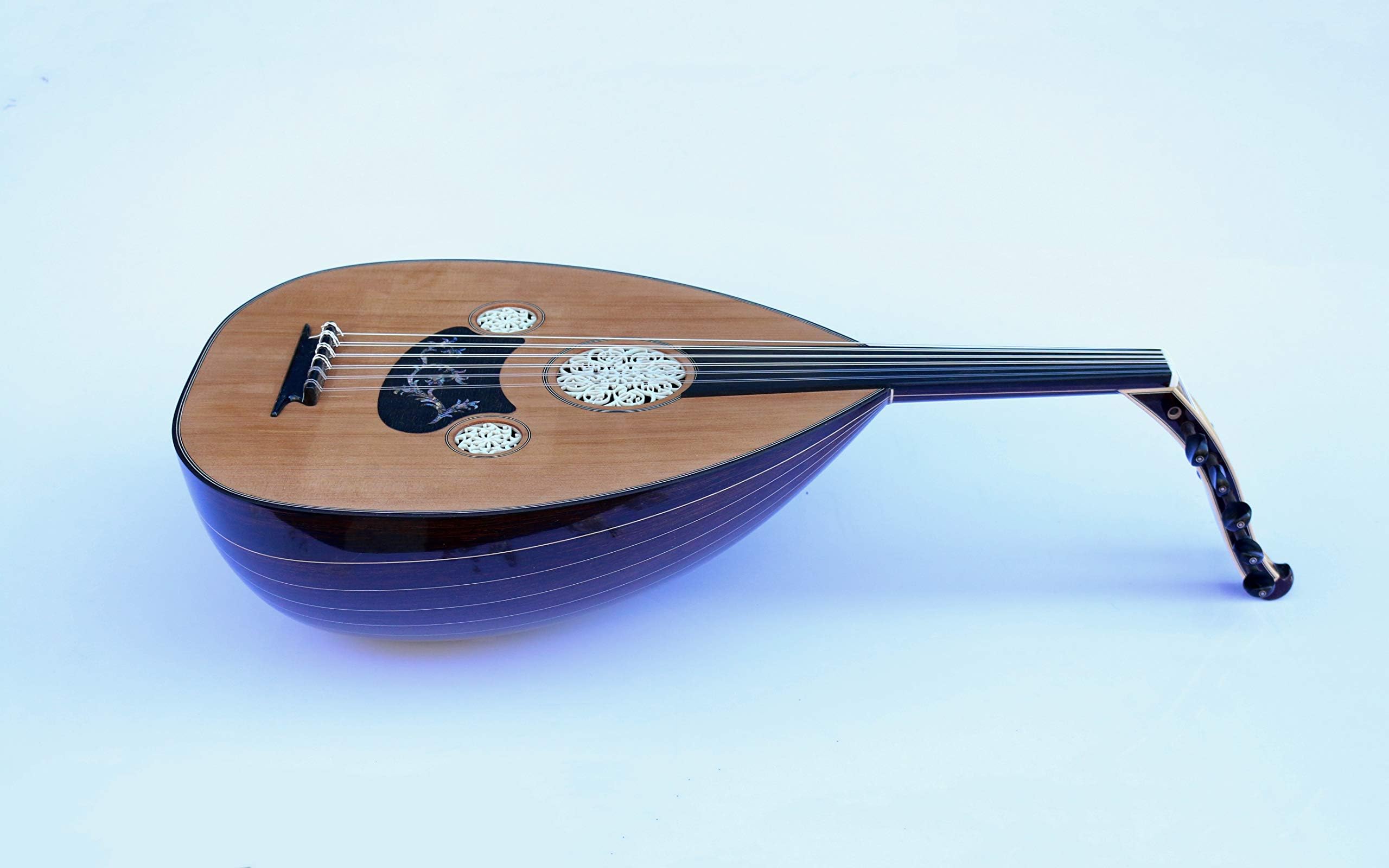 Amazon.com: Turkish Electric Silent Oud Ud String Instrument AOS-101G ...