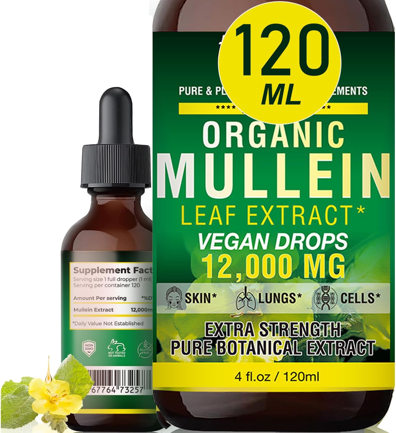 Amazon.com: Mullein Drops for Lungs,Mullein Leaf Extract - Support Lung ...