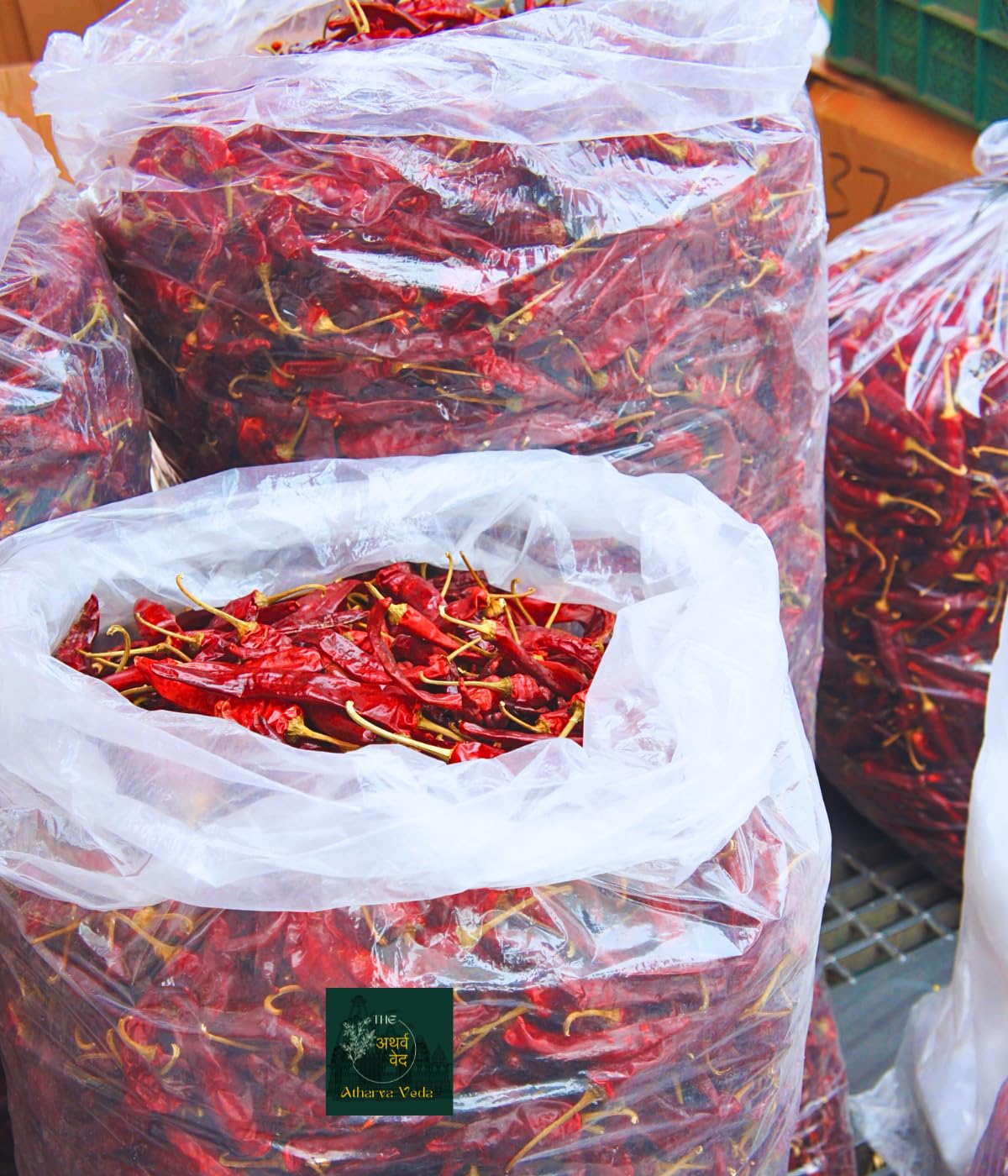 The Atharva-Veda Sabut Lal Mirch Dry Red Chilli Whole 1.5Kg, ????? HOT ...