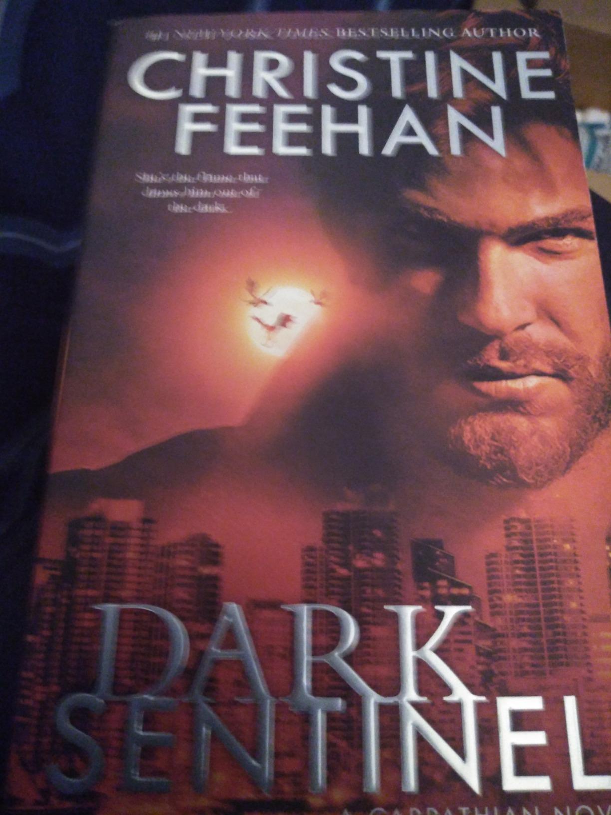 Amazon.com: Dark Sentinel (Dark Carpathian Book 32) eBook : Feehan ...