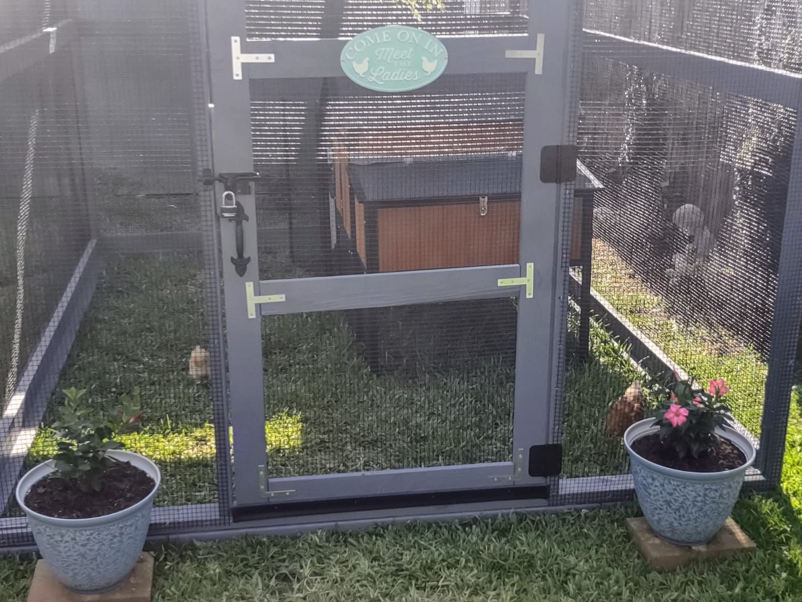 $32/mo - Finance Hardware Cloth PVC Coated Wire Mesh 48'' x 100' 1 ...