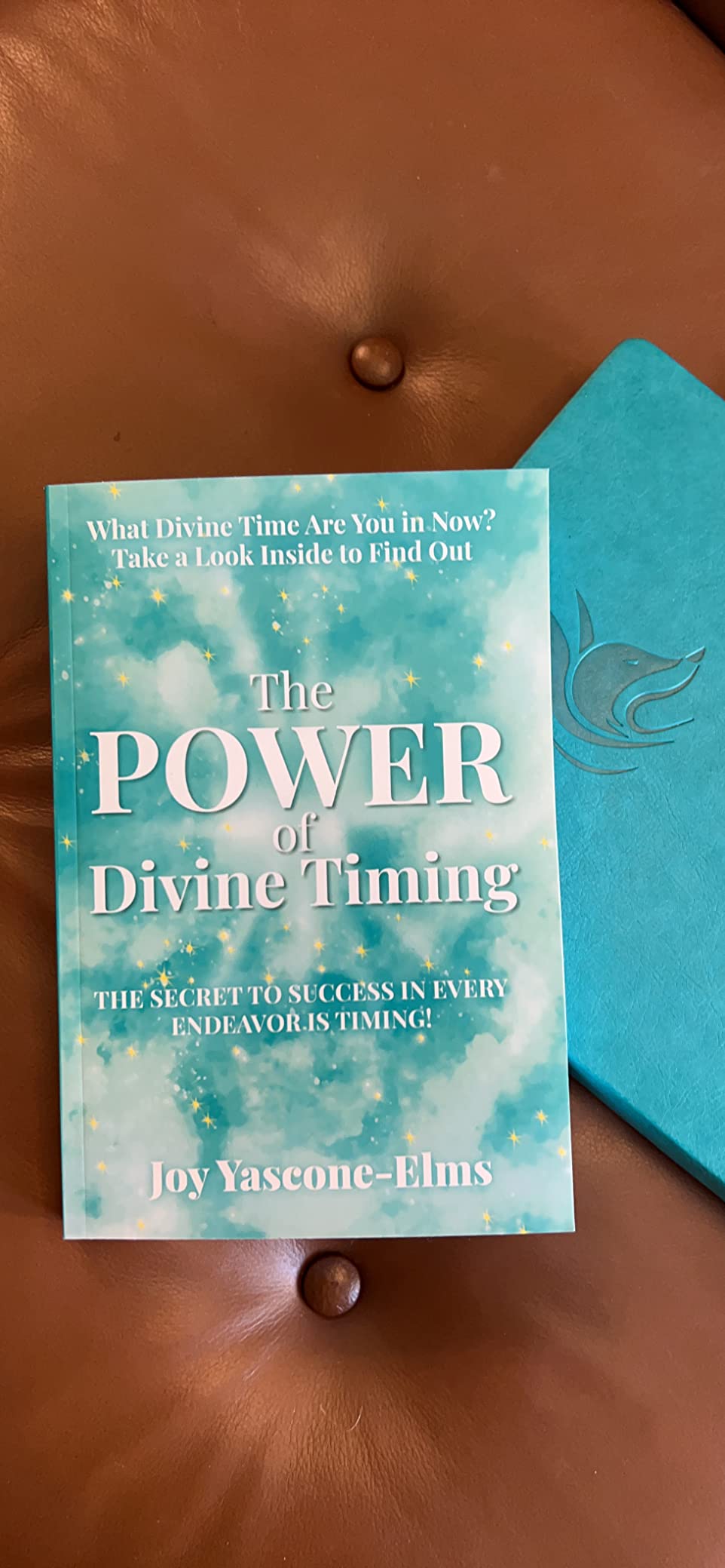 The Power of Divine Timing: 2019: Elms, Joy Yascone Yascone ...