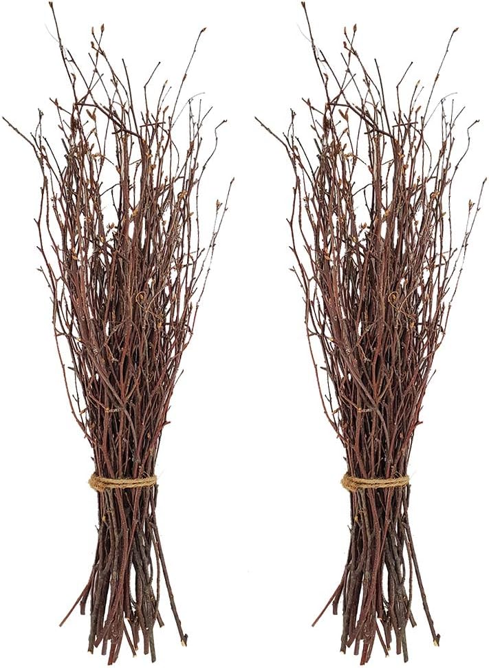 Amazon.com: Natural Birch Twigs 100 Branches for Home Office Party ...