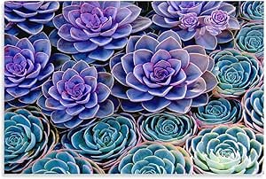 Amazon.com: Cute Succulent Poster Succulent Boho Wall Decor Green ...