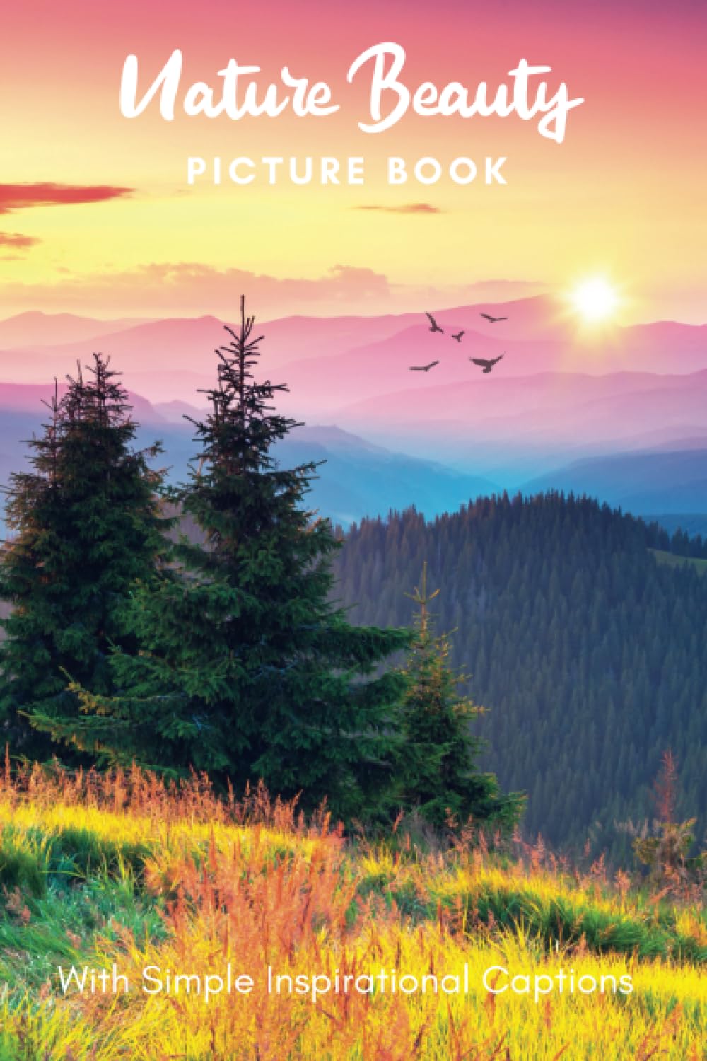 Picture Book of Nature Beauty: Gift for dementia patients and seniors ...