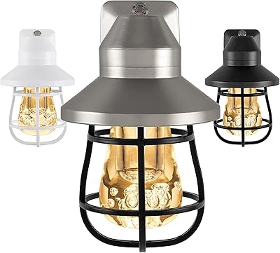 Amazon.com: GE LED Vintage Night Light, Plug-in, Dusk-to-Dawn ...