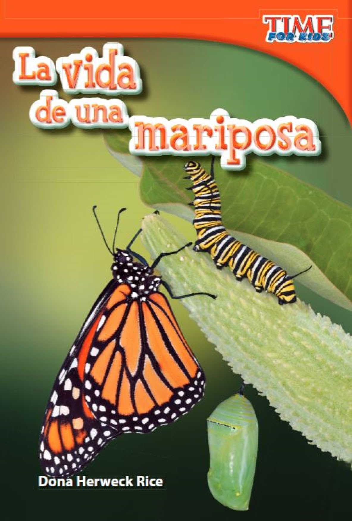 Amazon.com: La vida de una mariposa (A Butterfly's Life) (Spanish ...
