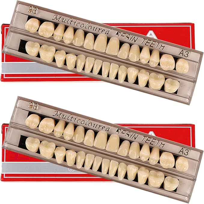 56 Pcs False Teeth Dental Complete Acrylic Resin Denture Teeth, 2 Set ...