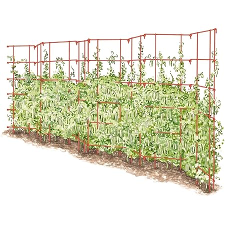 Amazon.com : Gardeners Supply Company Sturdy Expandable Tall Pea ...