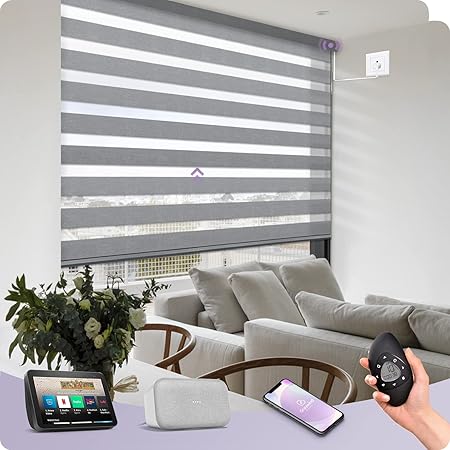 Amazon.com: CITOLEN Motorized Blinds with Integral Valance Zebra Blinds ...