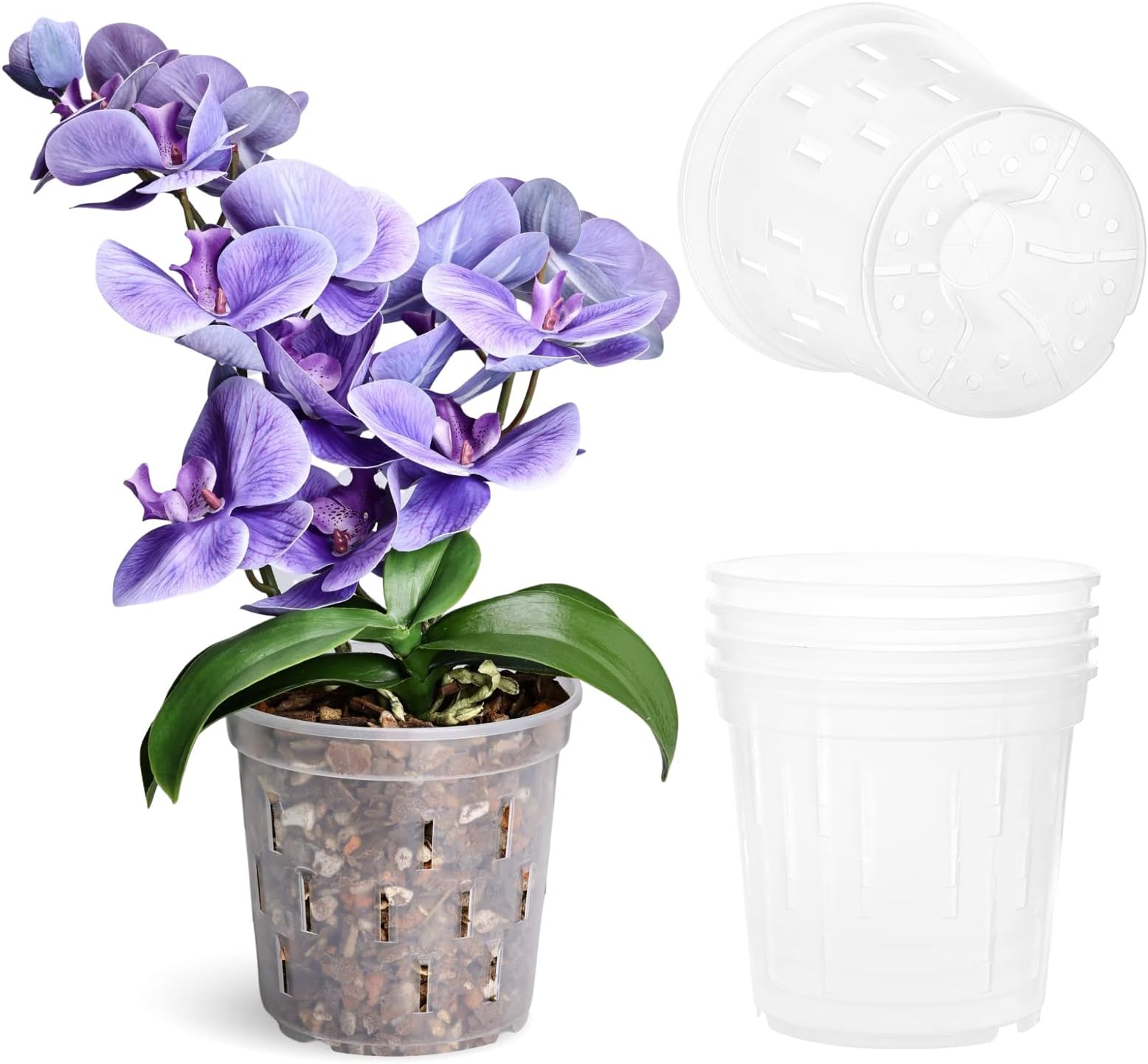 Amazon.com: Meshpot 4 Inch Clear Plastic Orchid Pots with Holes - 6 ...