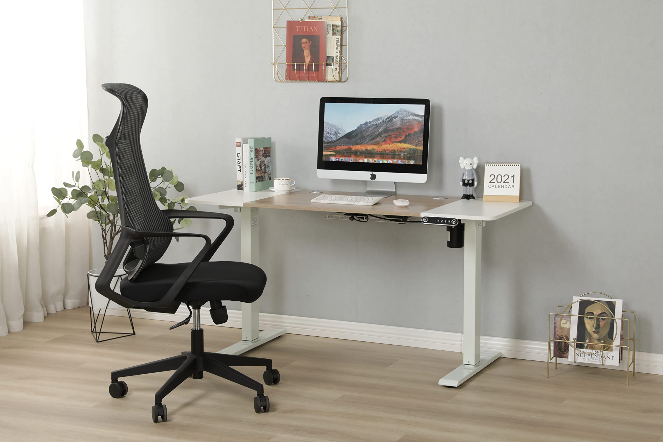 Royal Polar Sit Stand Home Office Ergonomic Electric Standing Desk ...