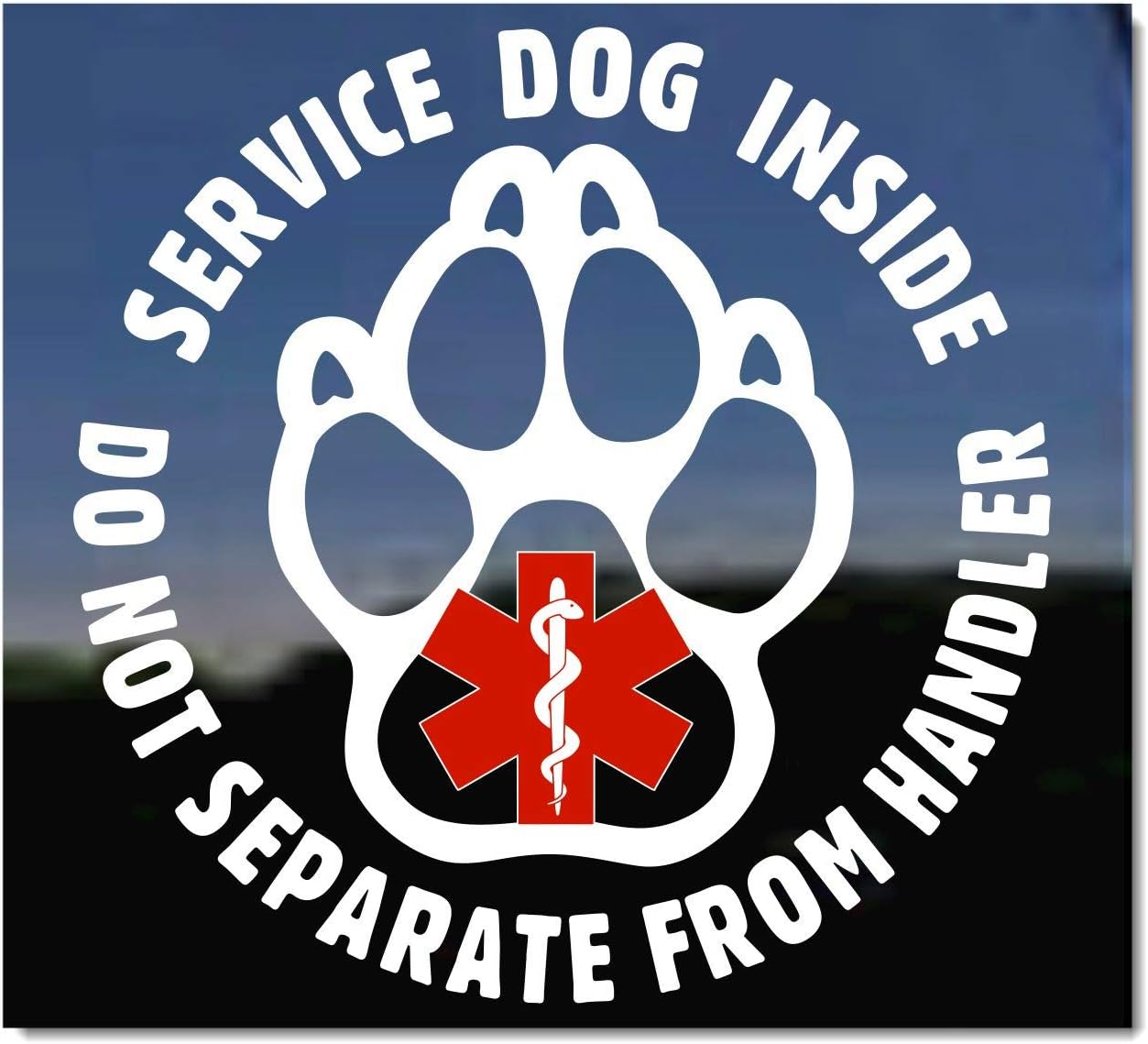 Amazon.com: Service Dog Inside Do Not Separate from Handler ...