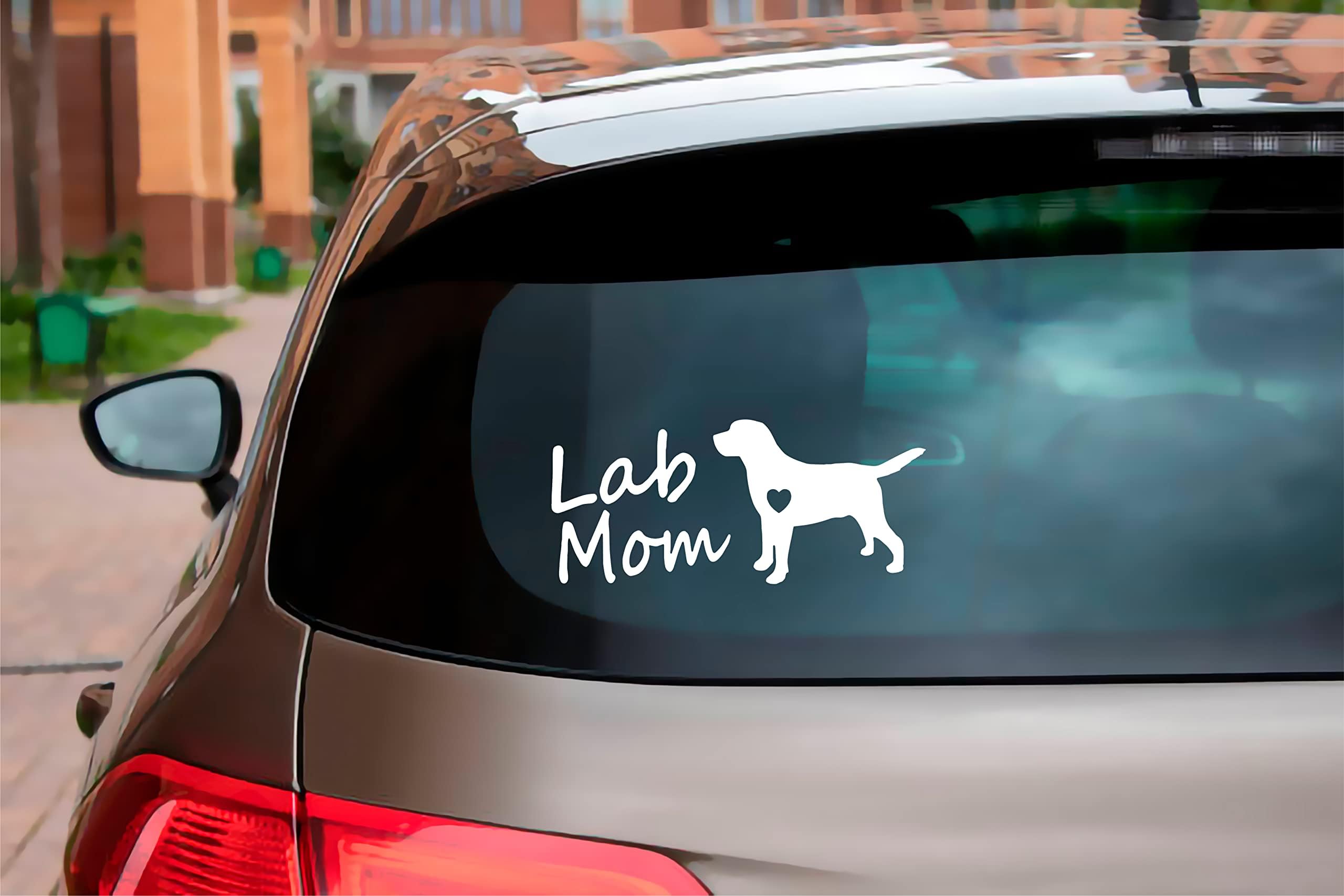 Amazon.com: This Vehicle Has Been Lab Tested | Labrador Retriever Vinyl ...