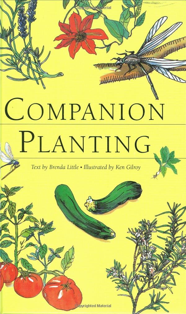 Companion Planting: Amazon.co.uk: Little, Brenda: 9781847733344: Books