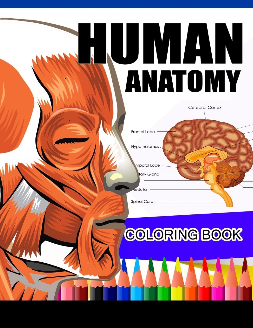 Human Anatomy Coloring Book: Anatomy & Physiology Coloring Book ...