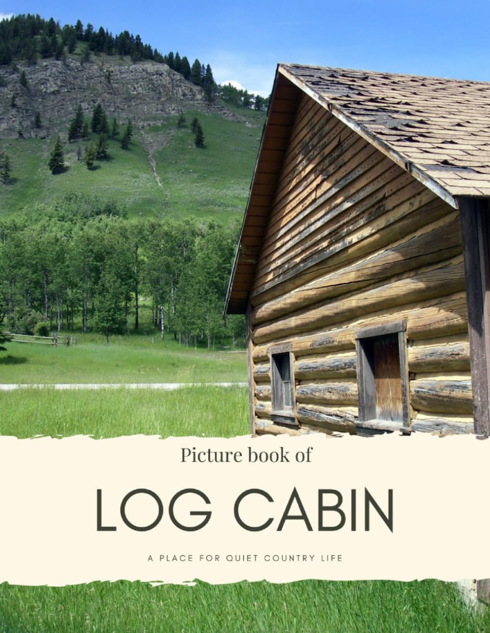 Amazon.com: Picture Book of Log Cabin: A place for quiet country life ...