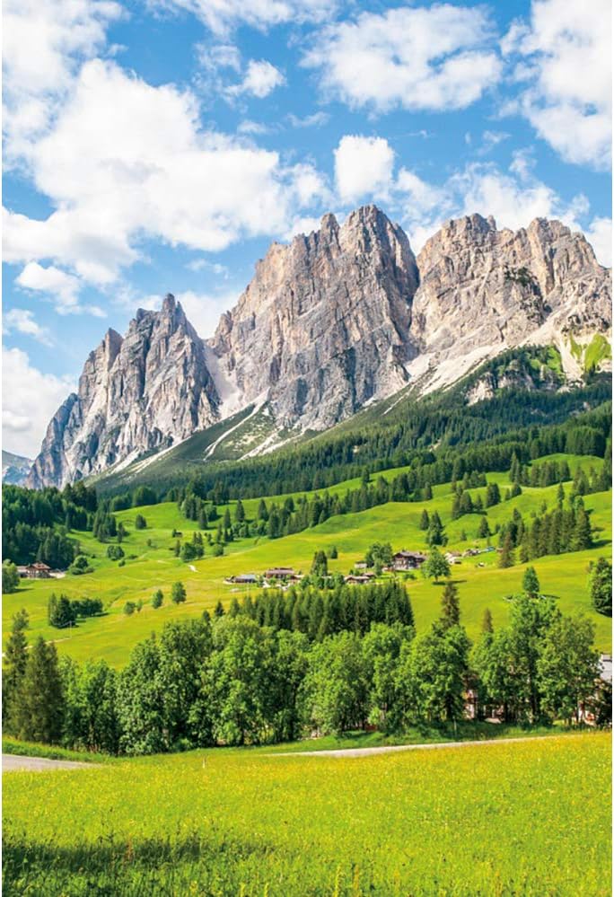 Amazon.com : Renaiss 5x7ft Alps Mountains Backdrop for Photoshoot ...