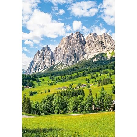 Amazon.com : Renaiss 5x7ft Alps Mountains Backdrop for Photoshoot ...