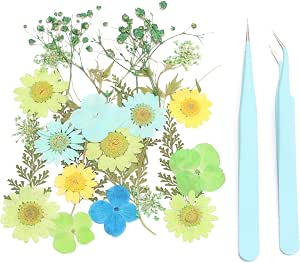 Amazon.com: Caiyjhao28PCS Natural Dried Flowers+Tweezers, Used for ...