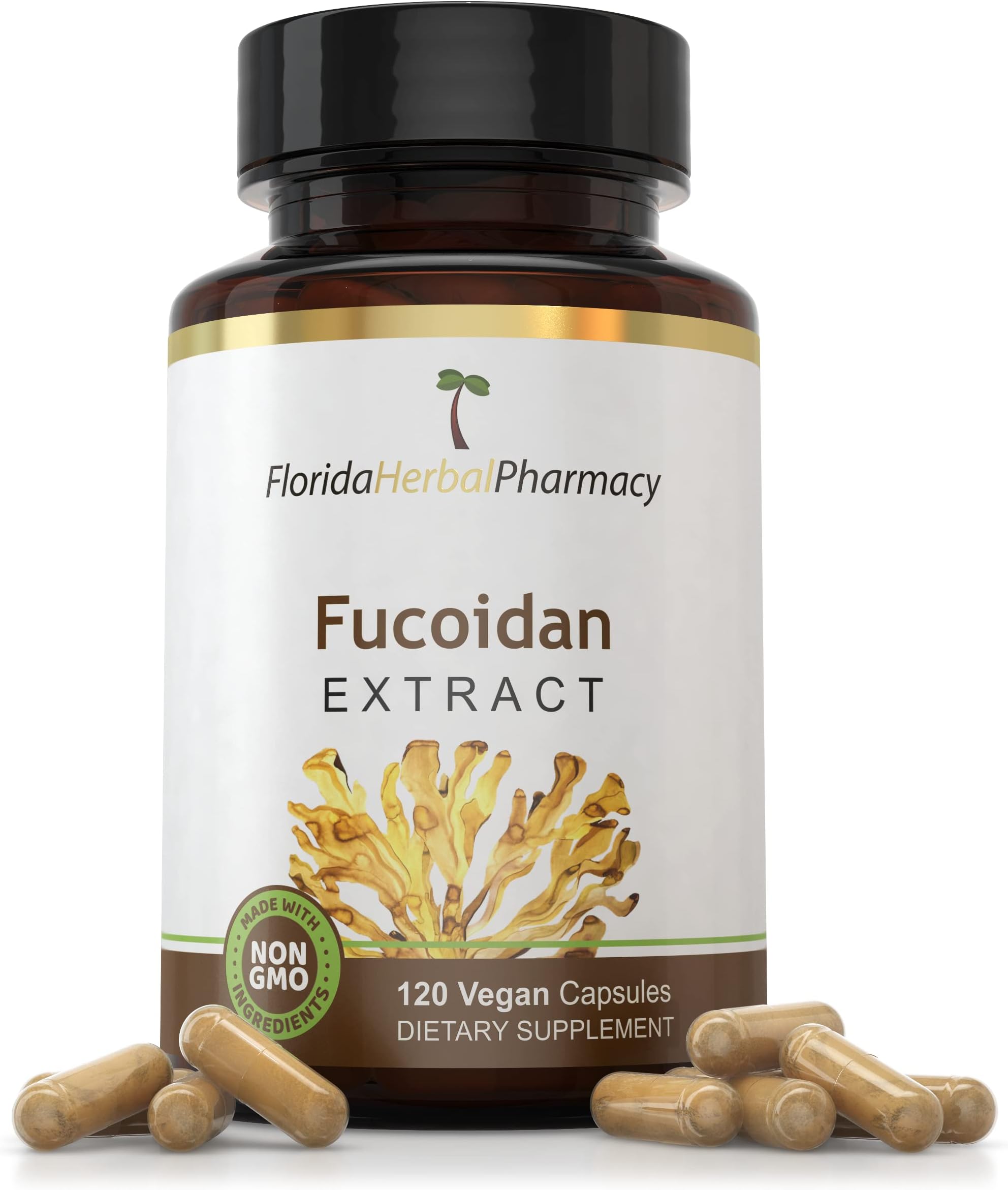 Amazon.com: Florida Herbal Pharmacy, Fucoidan Extract Capsules 10:1 ...