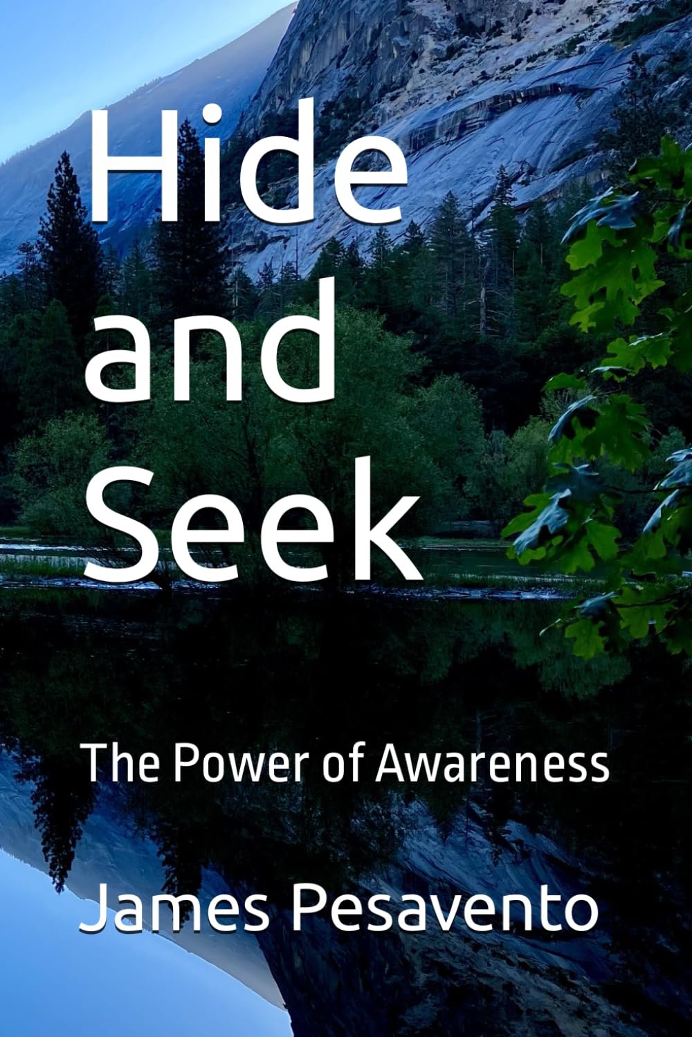 Hide and Seek: The Power of Awareness: Pesavento, James, Pesavento ...