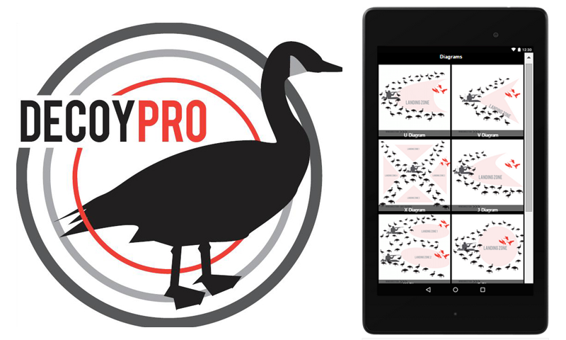 Goose Hunting Diagrams, Canada Goose Decoy Spreads - DecoyPro:Amazon.de ...
