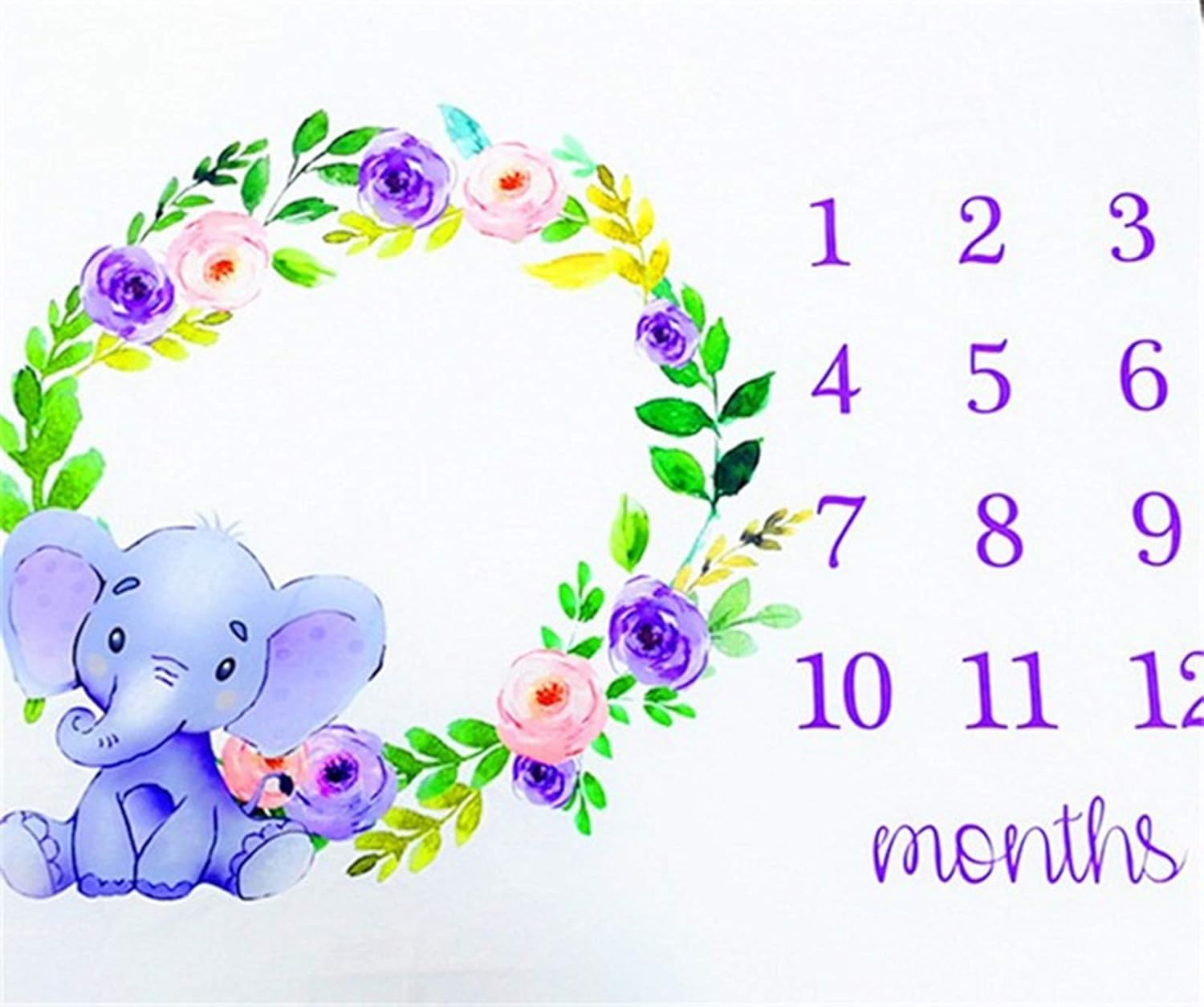 Amazon.com: Baby Monthly Milestone Blanket Newborn Girls Purple Flower ...