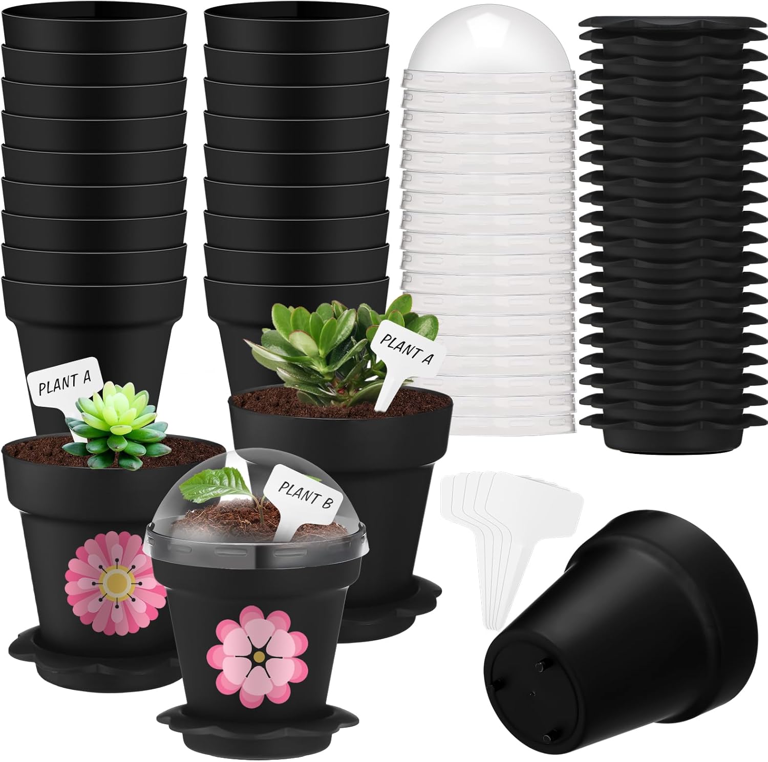 Amazon.com: Jingmore 30 Pcs Plant Nursery Pots with Humidity Dome 2.95 ...