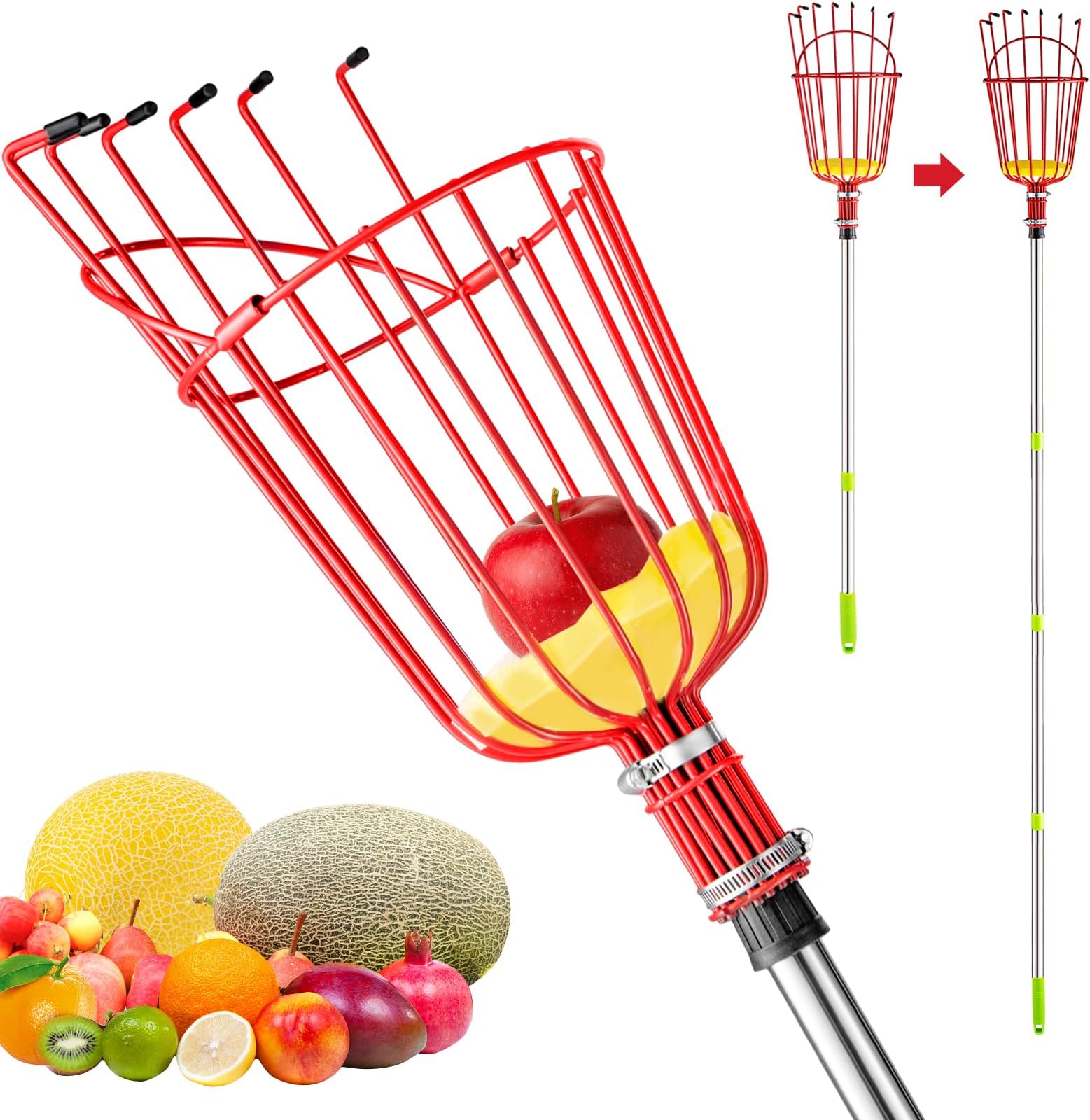 Amazon.com : Fruit Tree Picker Harvester for Plucking Long Hard to ...