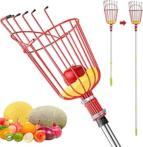 Amazon.com : GROWNEER 8Ft Fruit Picker with Big Basket, Connecting ...