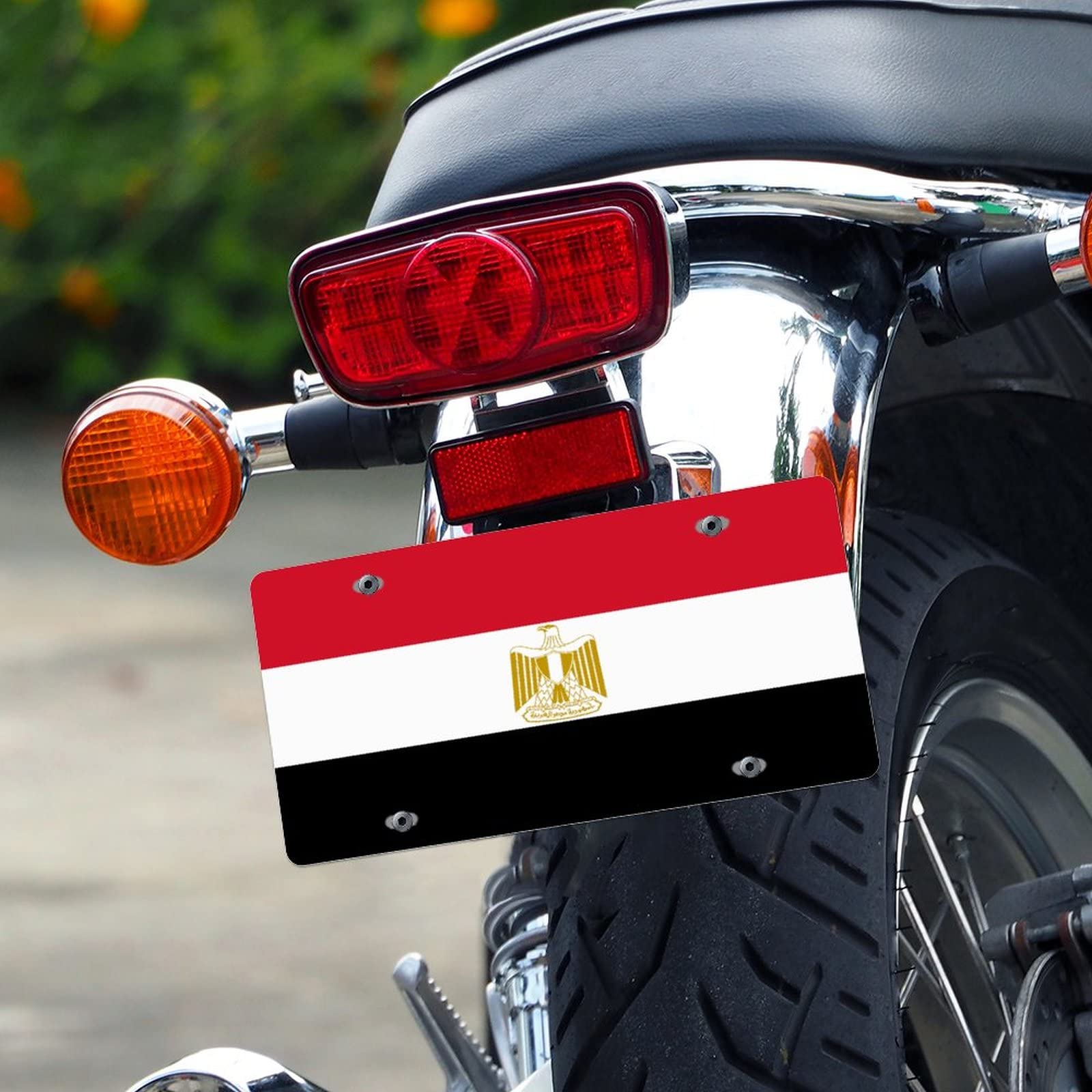 Rebel Flag License Plate Frame