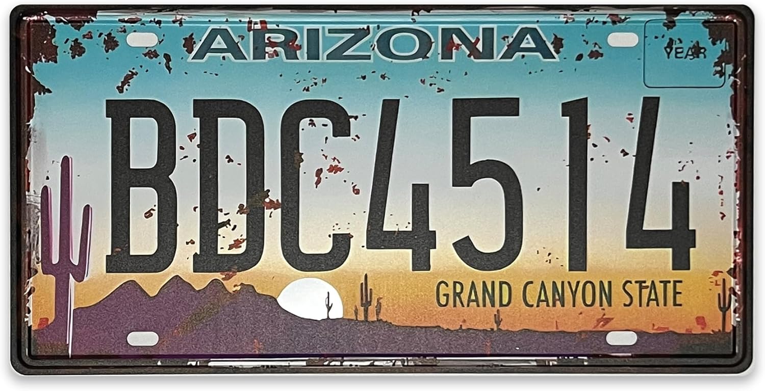 Amazon.com: KETMEDI Retro Arizona License Plate, Rusty Brown, 12"X6 ...