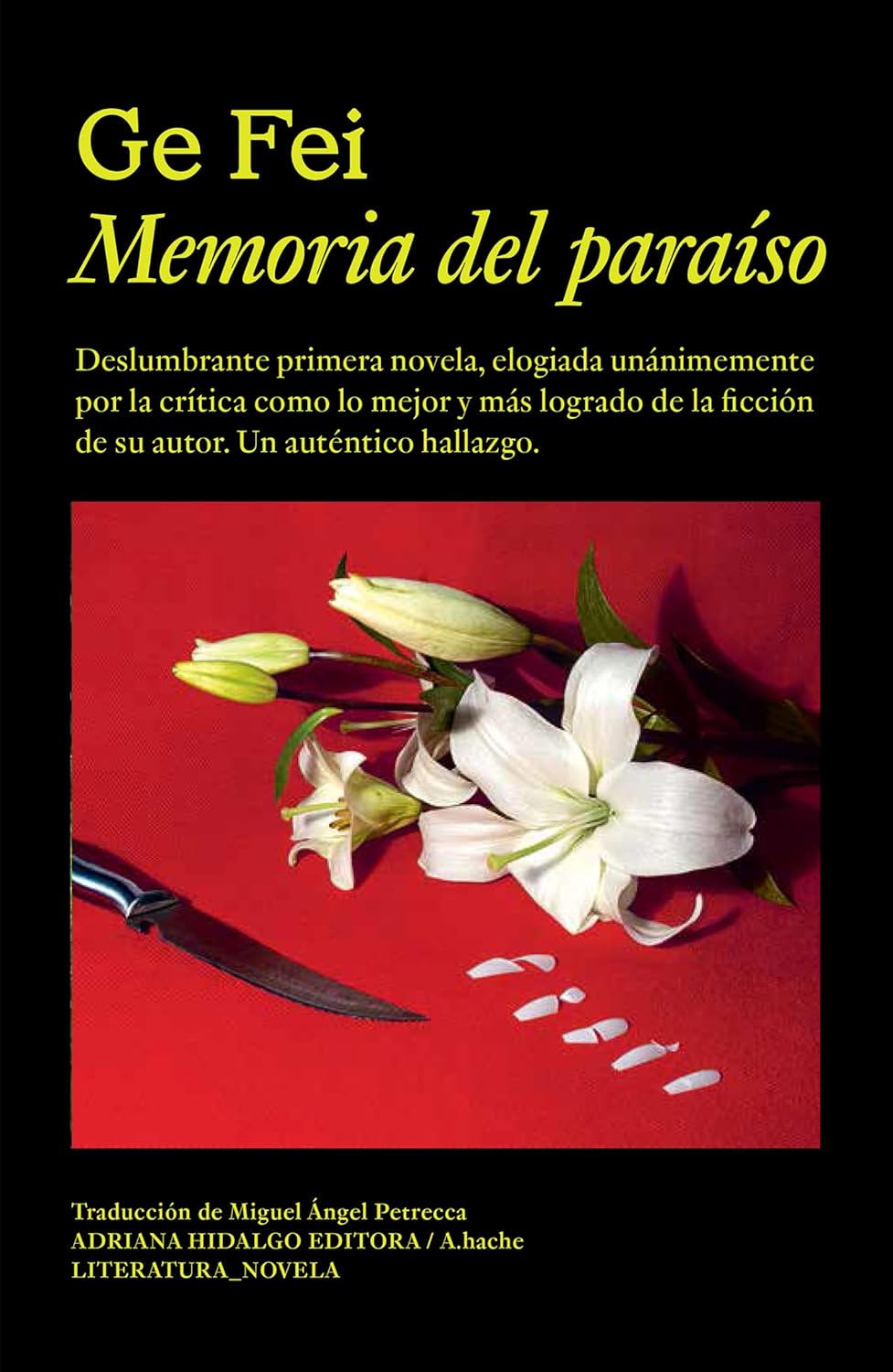 Memoria del paraíso: Fei, Ge, Petrecca, Miguel Ángel: 9788419208262 ...
