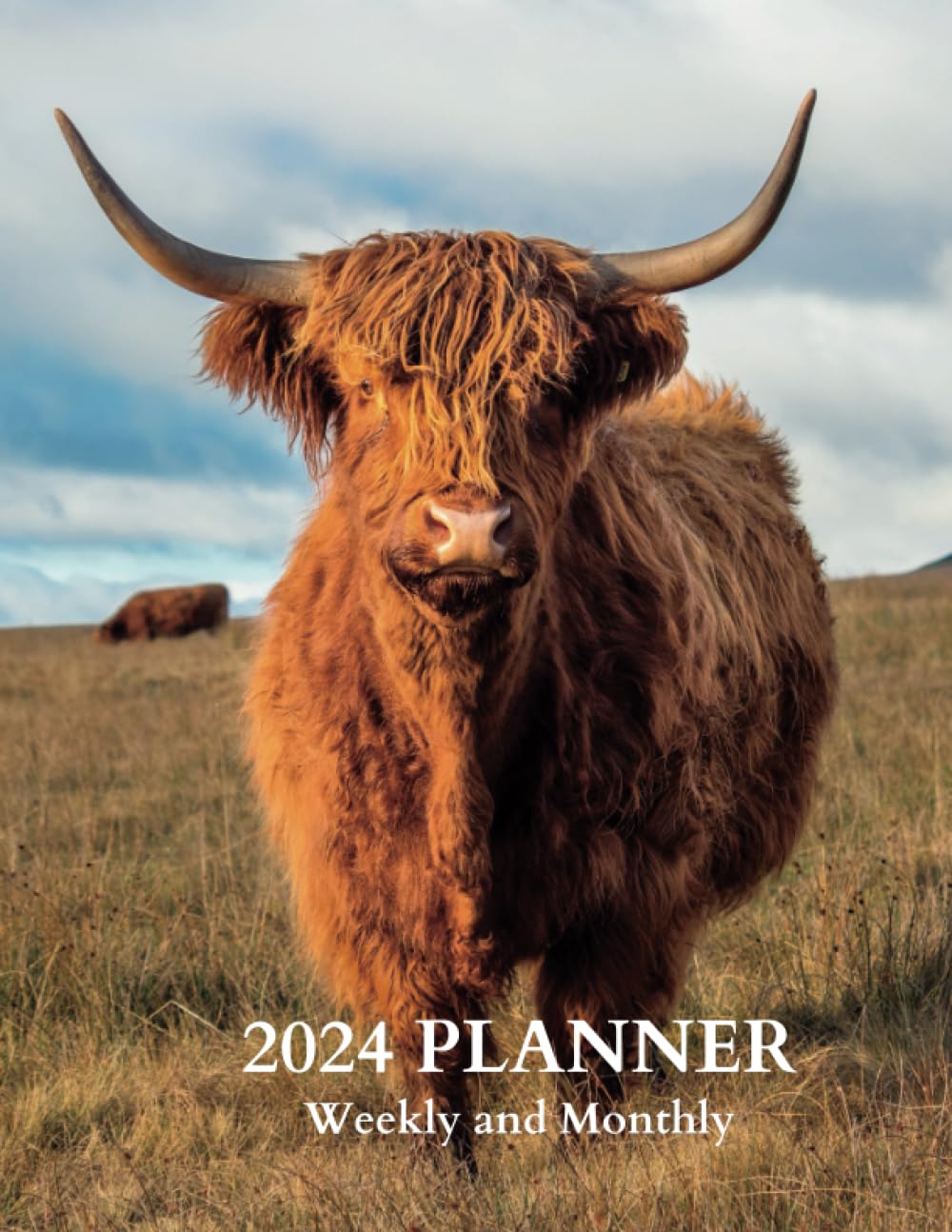 2024 Highland Cow Planner: Weekly Monthly, Large Size Diary/Organizer ...