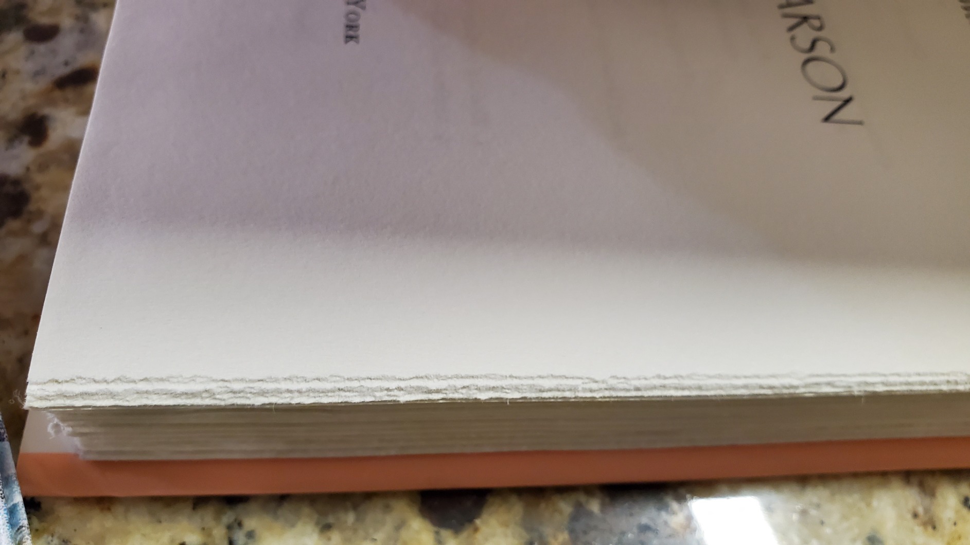 I Don't Know How She Does It: The Life of Kate Reddy, Working Mother ...