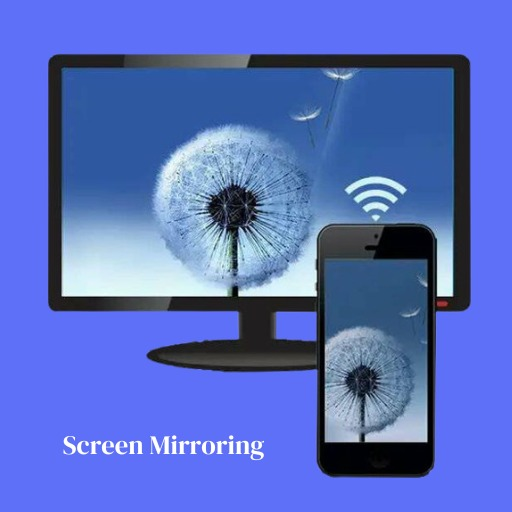 Screen Mirroring Cast On Tv - App on Amazon Appstore