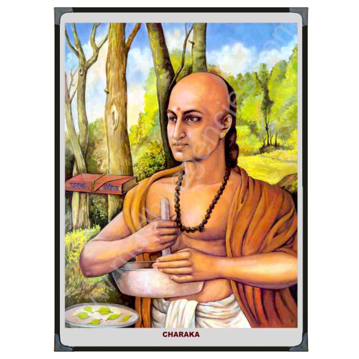 Charaka Photo 8mm Wood and Glossy Beading Photos Frames A4 Size (12" X ...