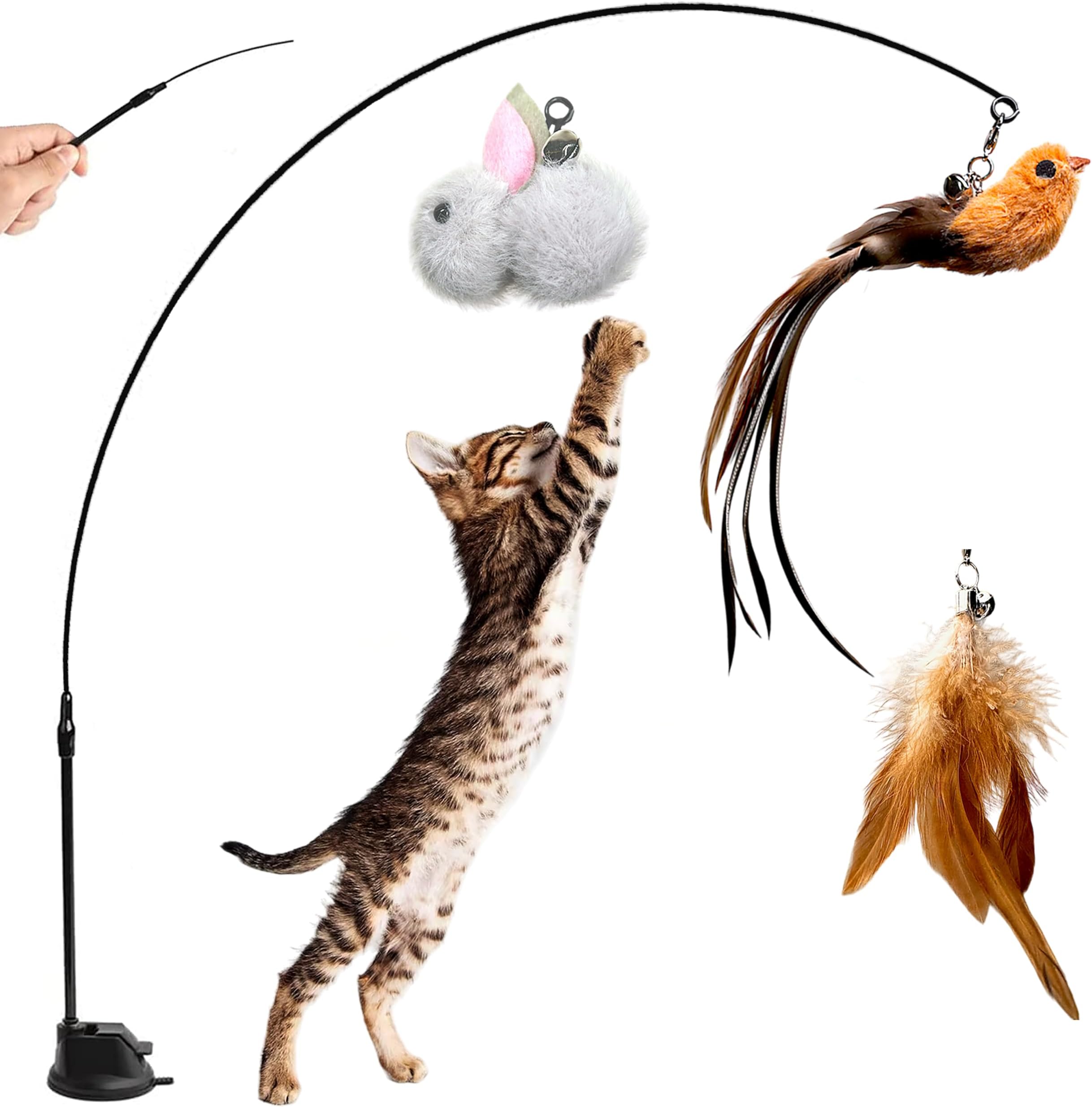 Amazon.com : Teeber Cat Feather Toy & Wand - 5 in 1 Bird Replacements ...