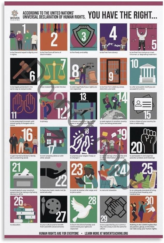 Amazon.com: Universal Declaration of Human Rights Poster - YOU HAVE THE ...