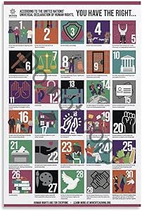 Amazon.com: Universal Declaration of Human Rights Poster - YOU HAVE THE ...
