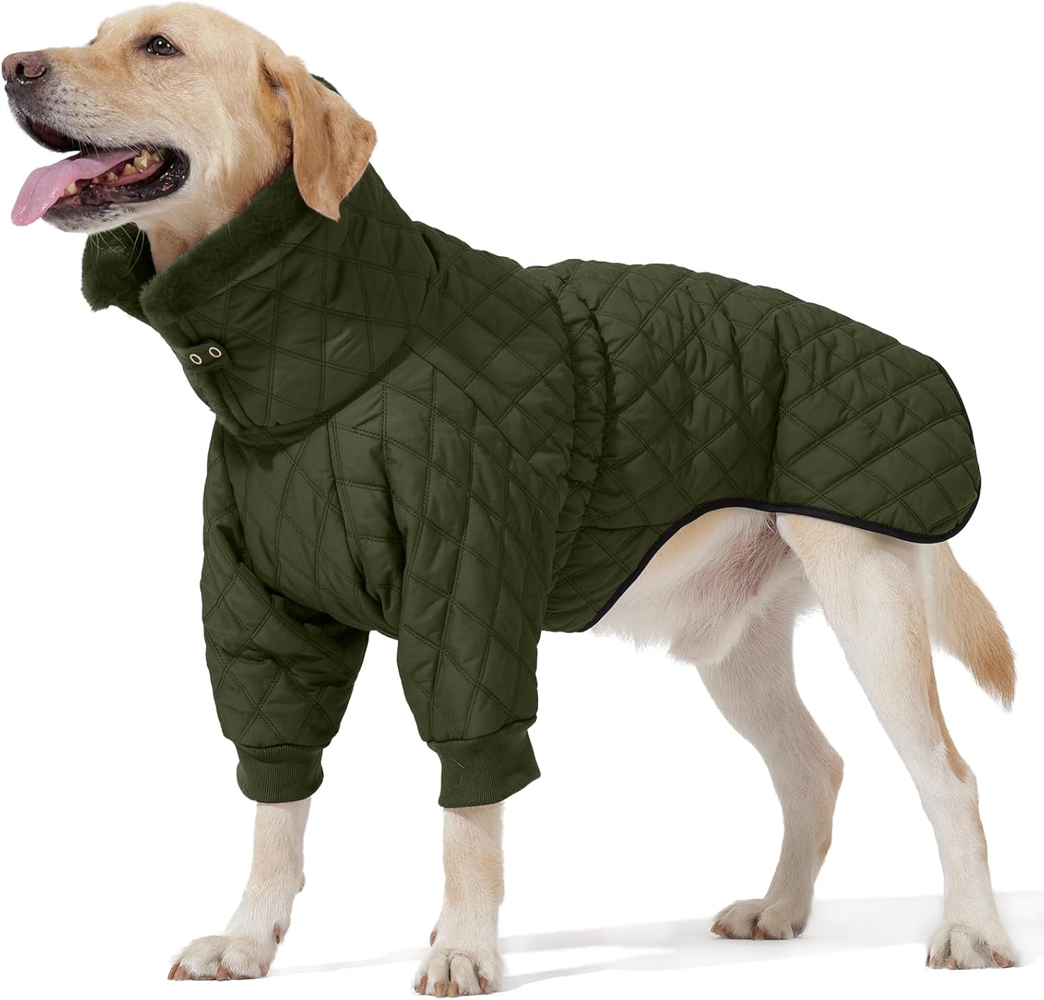 Amazon.com : Warm Dog Coat with Double Zipper, Winter Dog Clothes for ...