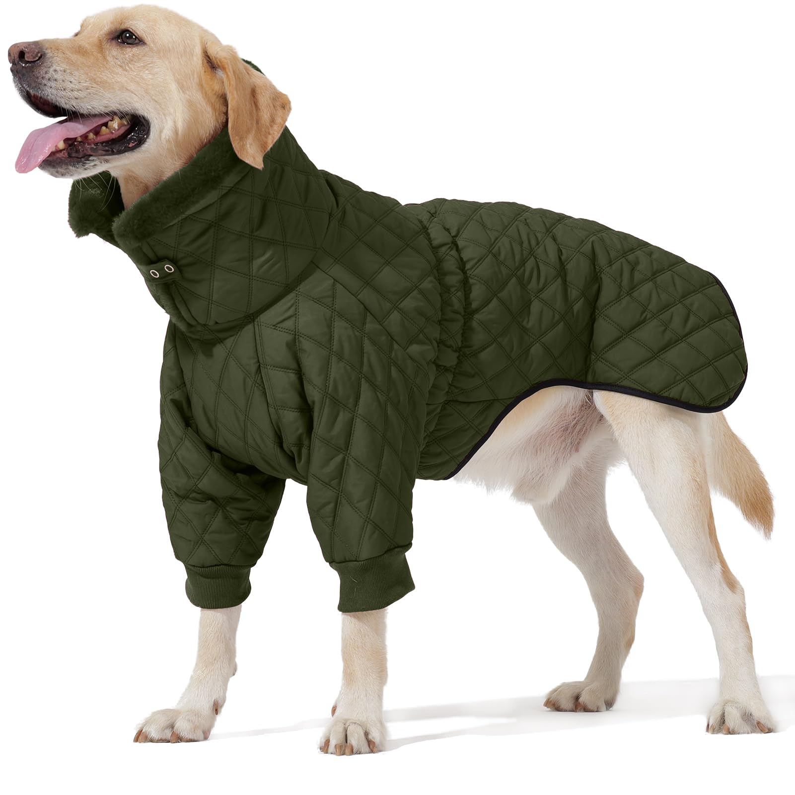 Amazon.com : Warm Dog Coat with Double Zipper, Winter Dog Clothes for ...