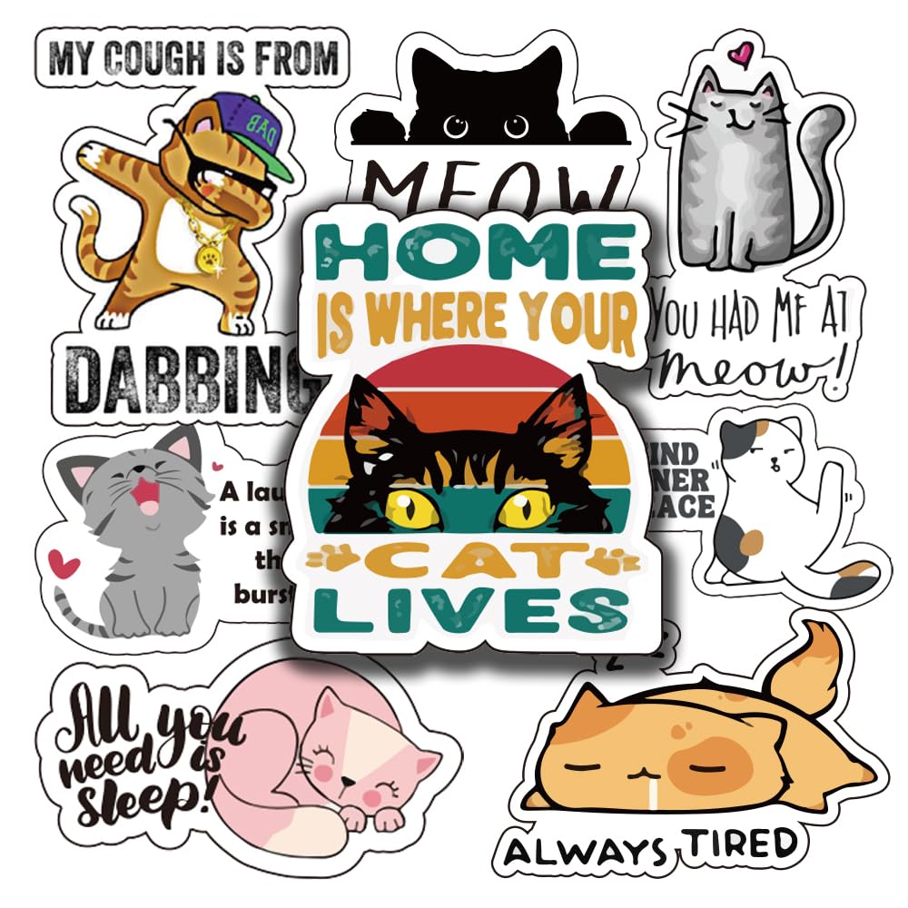 Amazon.com: Motivational Cat Sayings Decals Set | Cute Cat Stickers ...