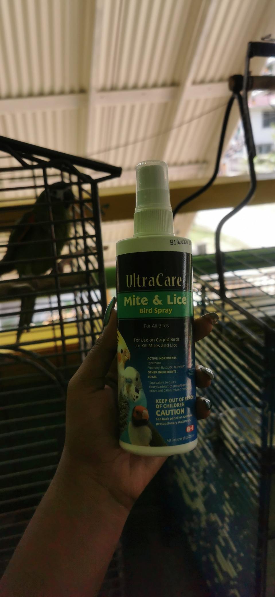 Amazon.com: 8 In 1 UltraCare Mite and Lice Spray, 8-Ounce pump : Health ...