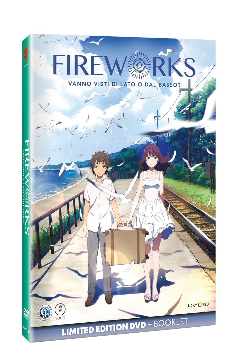 Fireworks - Limited Edition (Dvd + Booklet) (Limited Edition) ( DVD ...