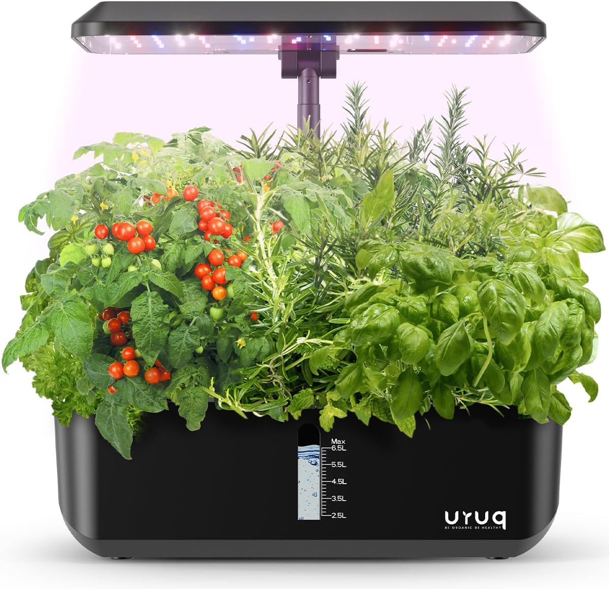 Amazon.com: LUSH OASIS 12 Pods Hydroponics Growing System with LED Grow ...