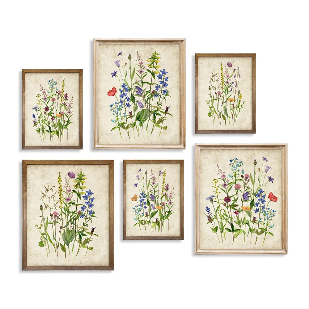 Amazon.com: Farmhouse Plant Botanical Wall Art - Watercolor Vintage ...